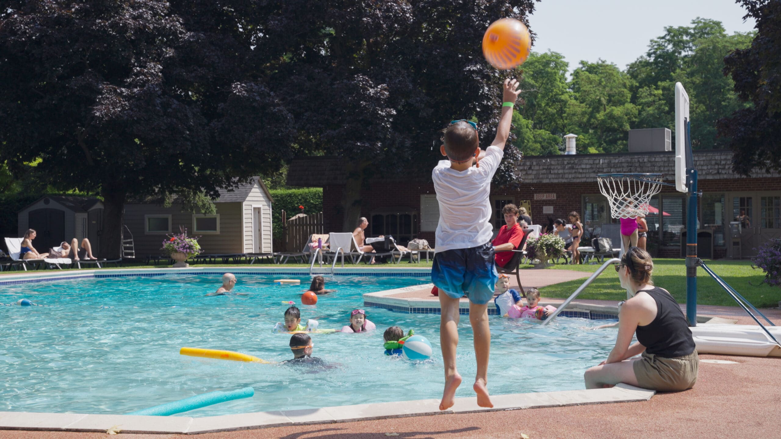 Family | Maple Downs